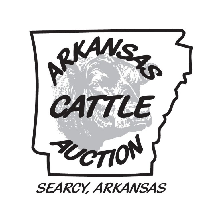 Market Reports and News – Arkansas Cattle Auction